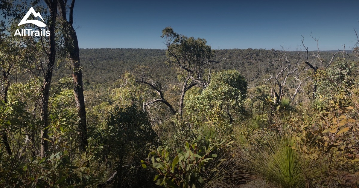Best Trails in John Forrest National Park - Western Australia ...
