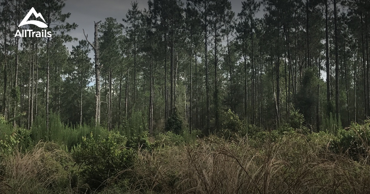 Best hikes and trails in Silver Springs Forest Conservation Area ...