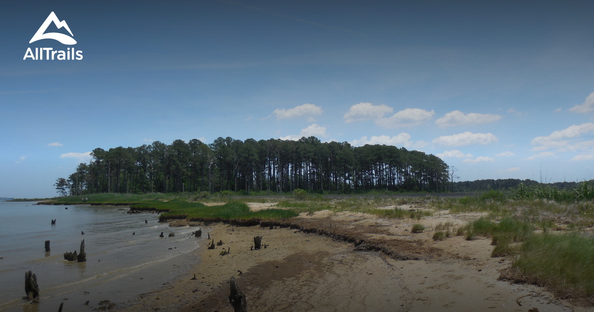 Best hikes and trails in Ragged Island Wildlife Management Area | AllTrails