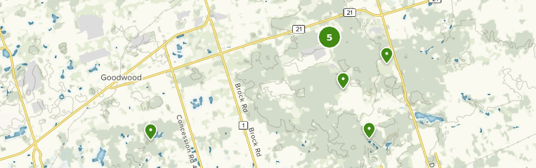 Best Trails in Durham Regional Forest - Ontario, Canada | AllTrails