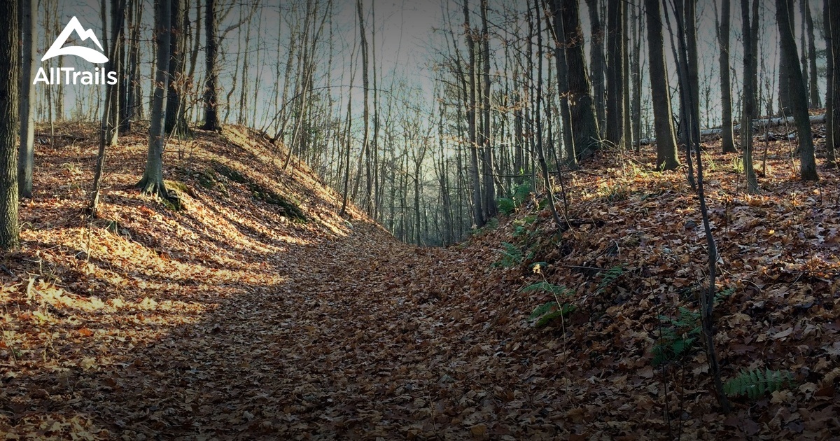 10 Best hikes and trails in Durham Regional Forest | AllTrails
