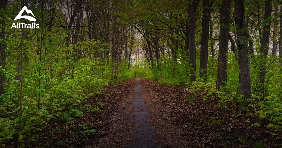 Best hikes and trails in Angrignon Park | AllTrails