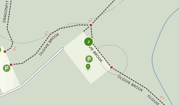 Best Trails in Irishtown Nature Park - New Brunswick, Canada | AllTrails