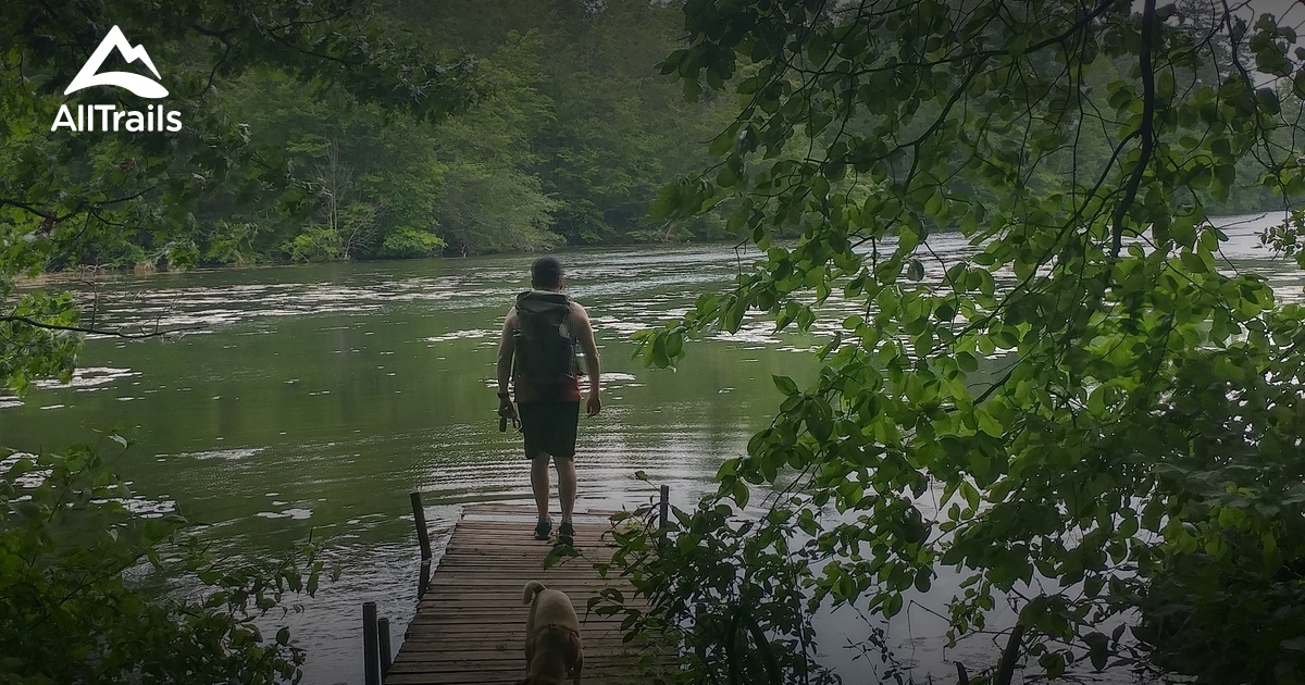 Best trails in Springwater Conservation Area, Ontario, Canada | AllTrails