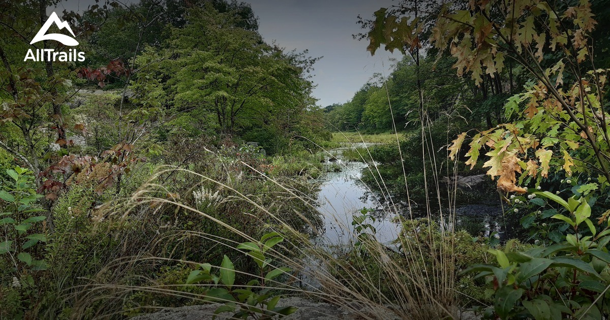 Best hikes and trails in Sheffield Conservation Area | AllTrails