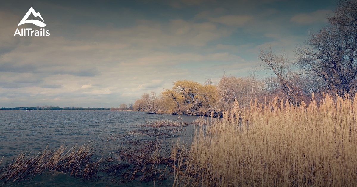 Best hikes and trails in Rondeau Provincial Park | AllTrails