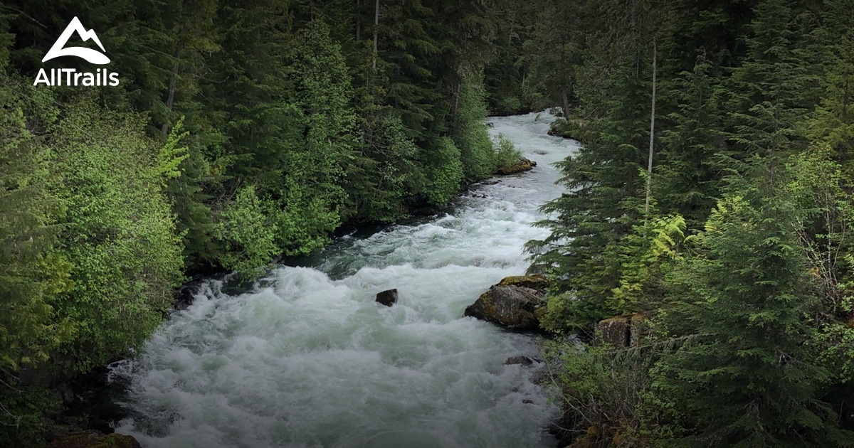 Best trail running trails in Whistler Interpretive Forest | AllTrails