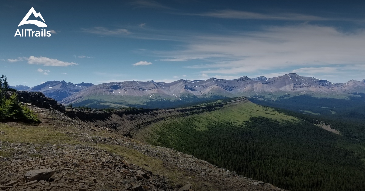 Best hikes and trails in Cardinal Divide Natural Area | AllTrails