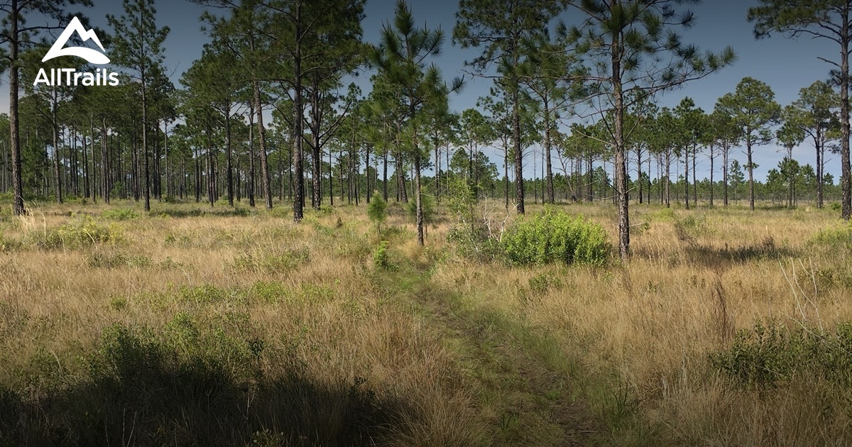 Best hikes and trails in Garcon Point Water Management Area | AllTrails