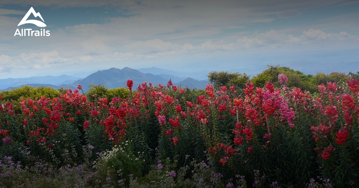 Best Trails in Doi Inthanon National Park - Chiang Mai, Thailand ...