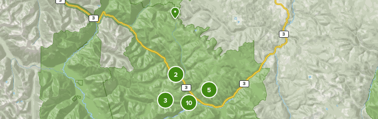 Best Trails in E.C. Manning Provincial Park - British Columbia, Canada | AllTrails