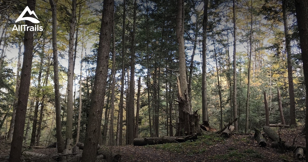 Best hikes and trails in Chesney Conservation Area | AllTrails