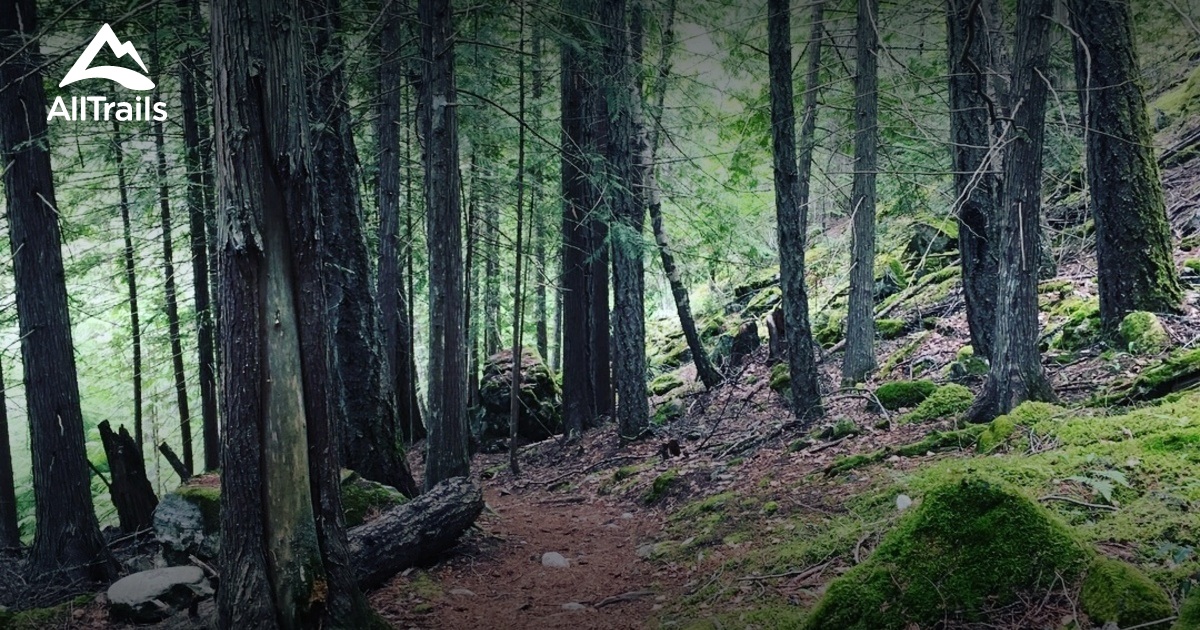 Best hikes and trails in Pilot Bay Provincial Park | AllTrails