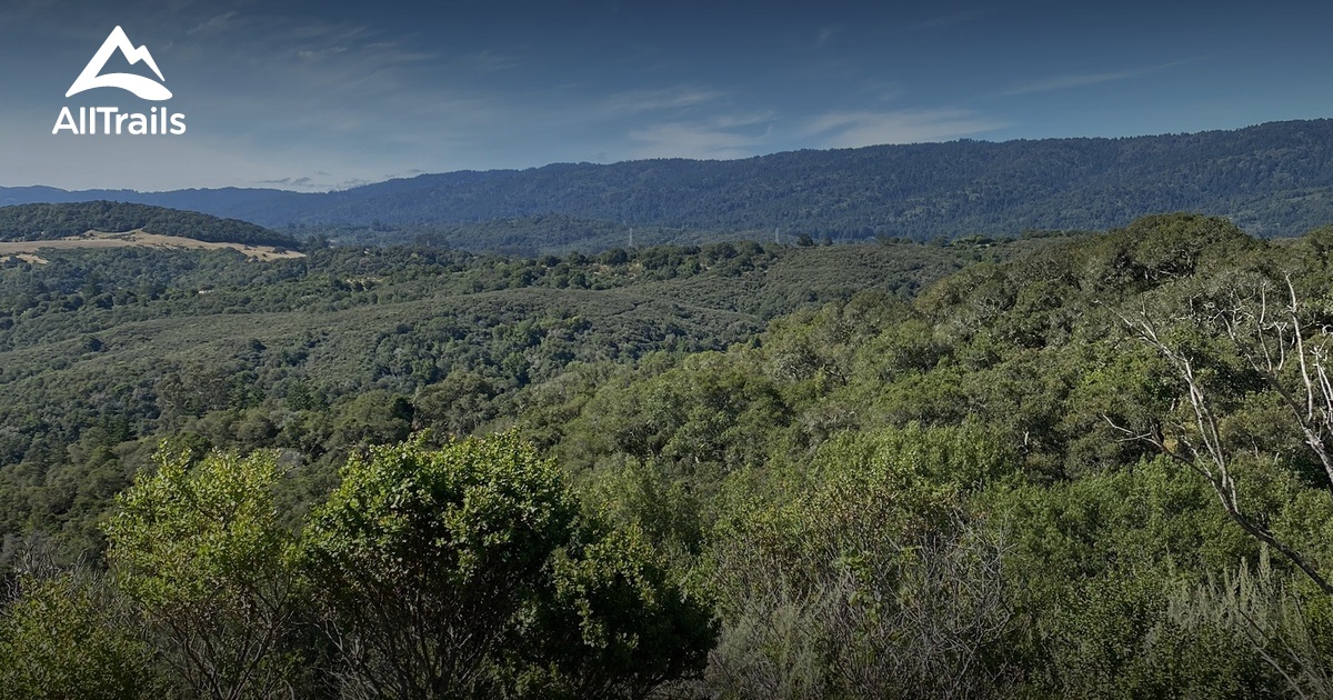 Pulgas Ridge Open Space Preserve: Die besten Routen zum Wandern | AllTrails