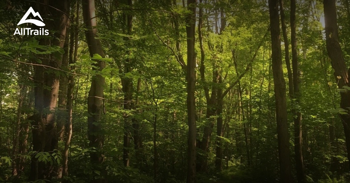 Best hikes and trails in Mer Bleue Conservation Area | AllTrails
