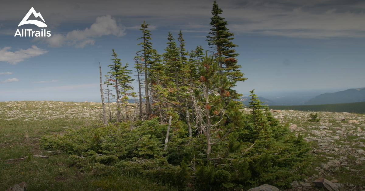 Best Trails in Rocky Mountain Foothills - Alberta, Canada | AllTrails