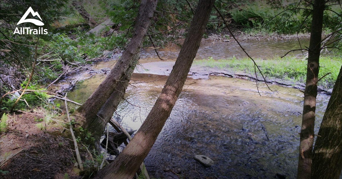 Best forest trails in Goodrich-Loomis Conservation Area | AllTrails