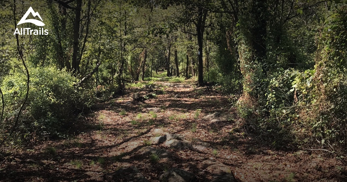 Best trail running trails in State Game Lands Number 124 | AllTrails