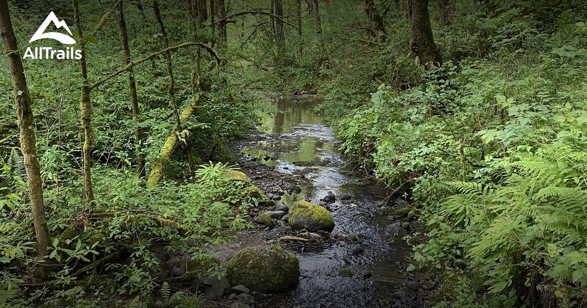 Best hikes and trails in Bird Alliance of Oregon | AllTrails