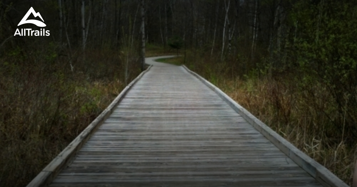 Best Trails in Chippewa Nature Center - Michigan | AllTrails