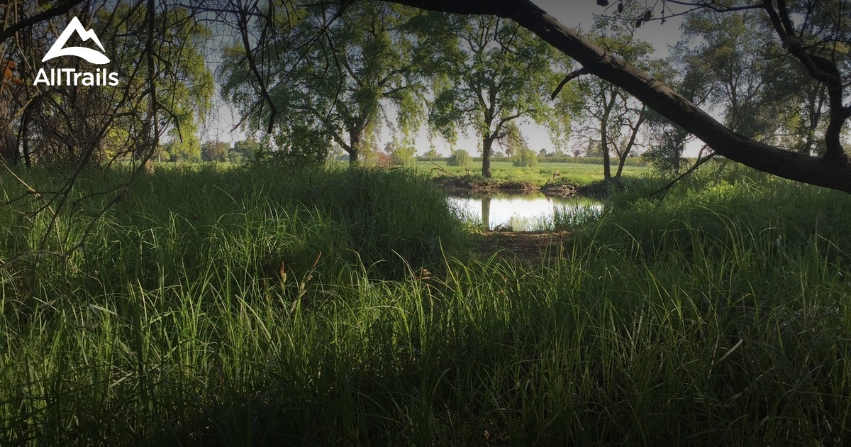 Best Trails in Lodi Lake Park - California | AllTrails