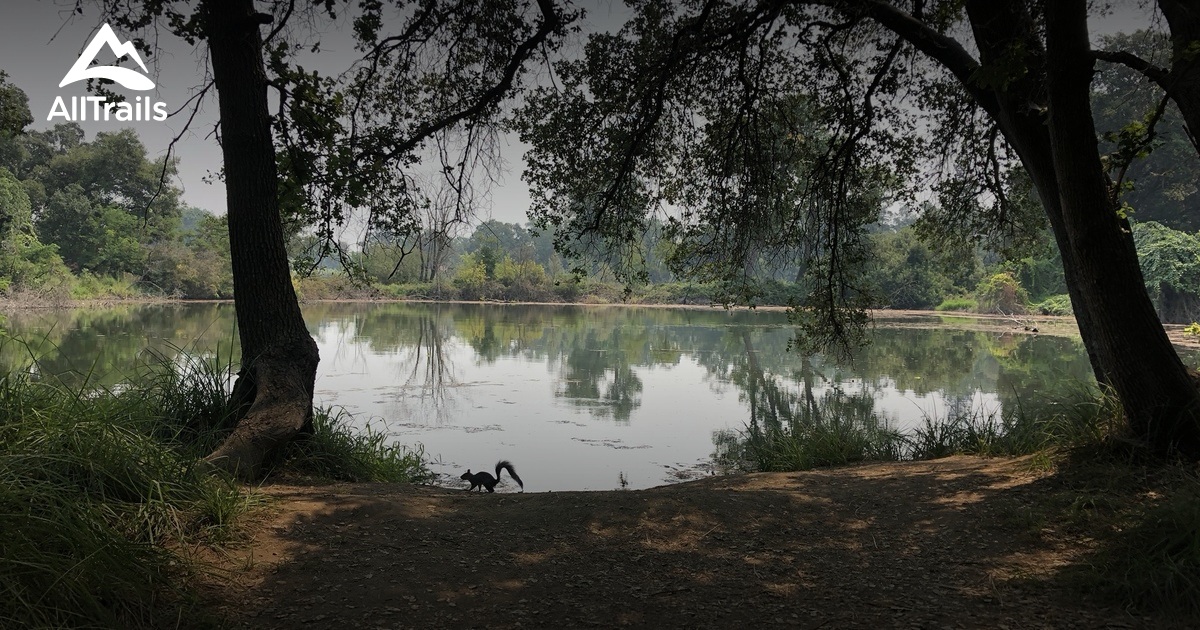 Best Trails in Lodi Lake Park - California | AllTrails