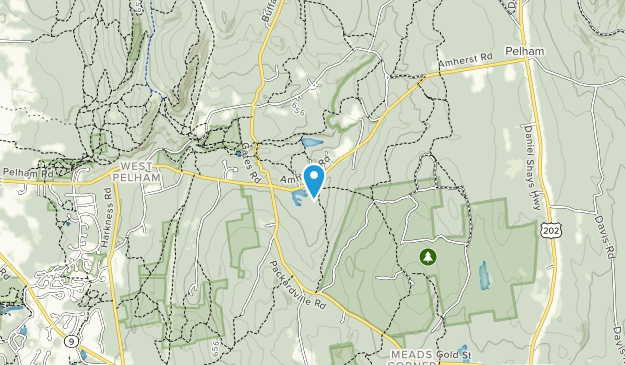 Best Trails in Cadwell Memorial Forest - Massachusetts | AllTrails