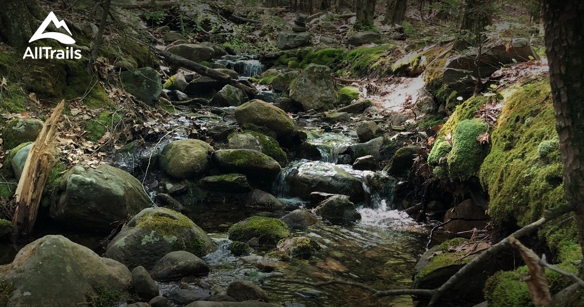 Best hikes and trails in Cadwell Memorial Forest | AllTrails