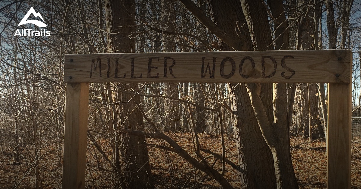 Best hikes and trails in Miller Woods | AllTrails