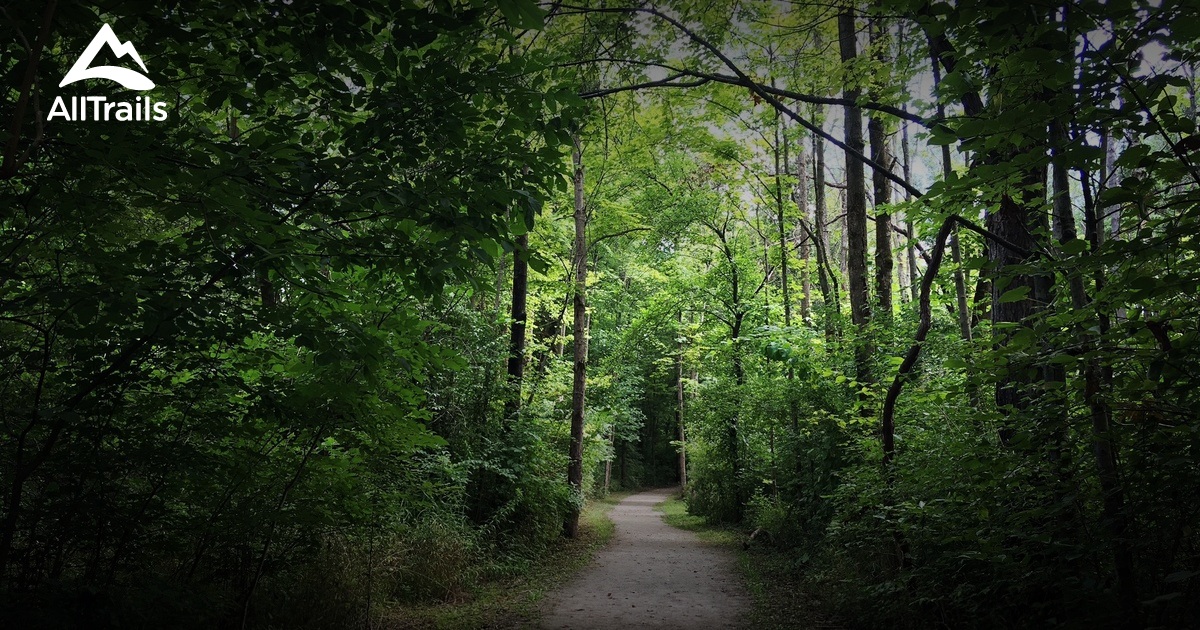 Best hikes and trails in Williams Park | AllTrails