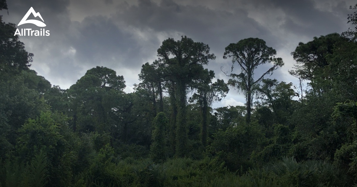 Best hikes and trails in Tall Cypress Natural Area | AllTrails