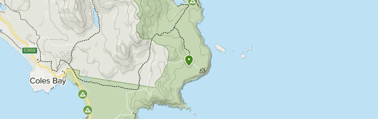 Best trails in Coles Bay Conservation Area, Tasmania, Australia | AllTrails