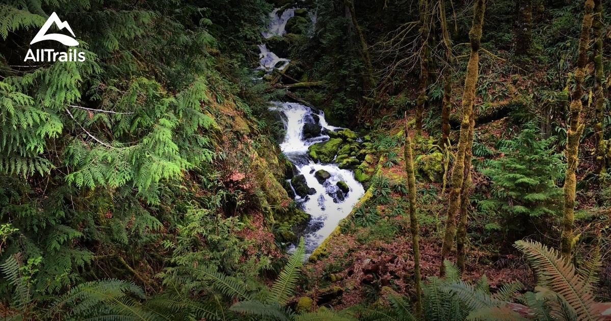 Best Trails in Sooke Hills Wilderness Regional Park Reserve - British ...