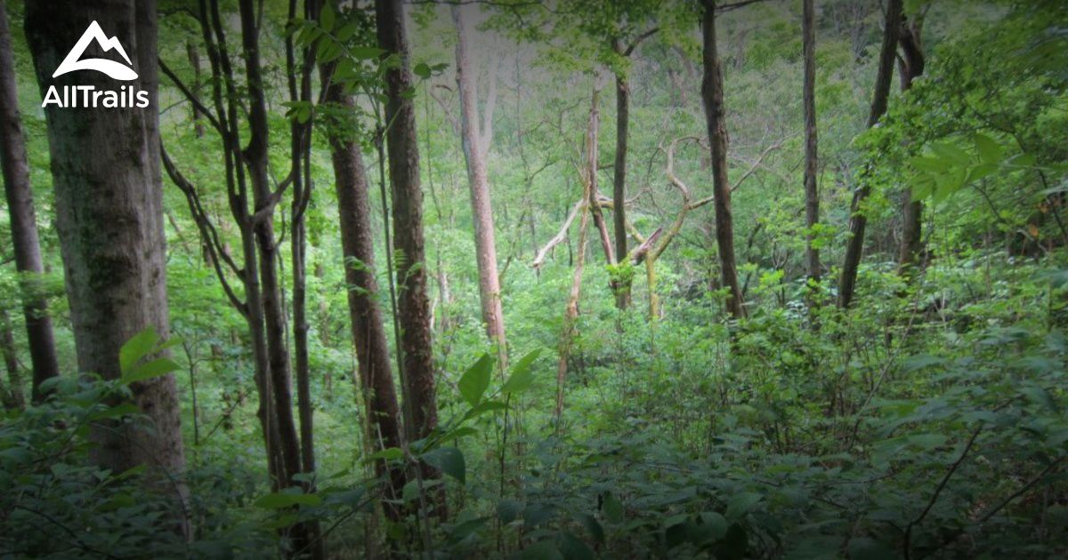 Best Trails in Laurel Run Park - Tennessee | AllTrails