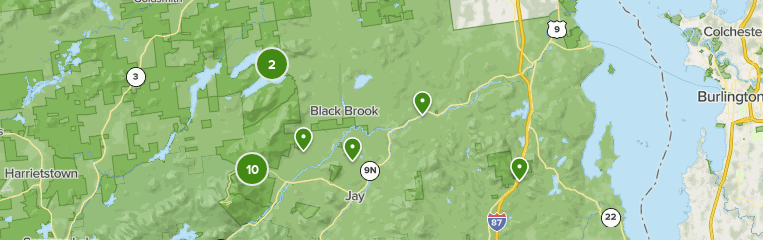 Best Trails in Taylor Pond Wild Forest | AllTrails