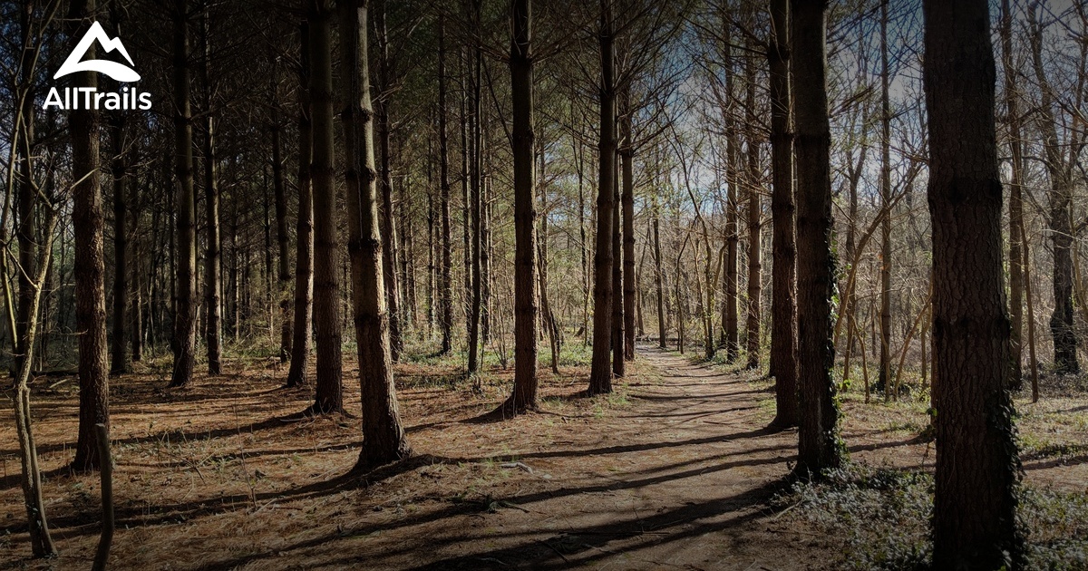 Best Trails in Berea College Forest - Kentucky | AllTrails