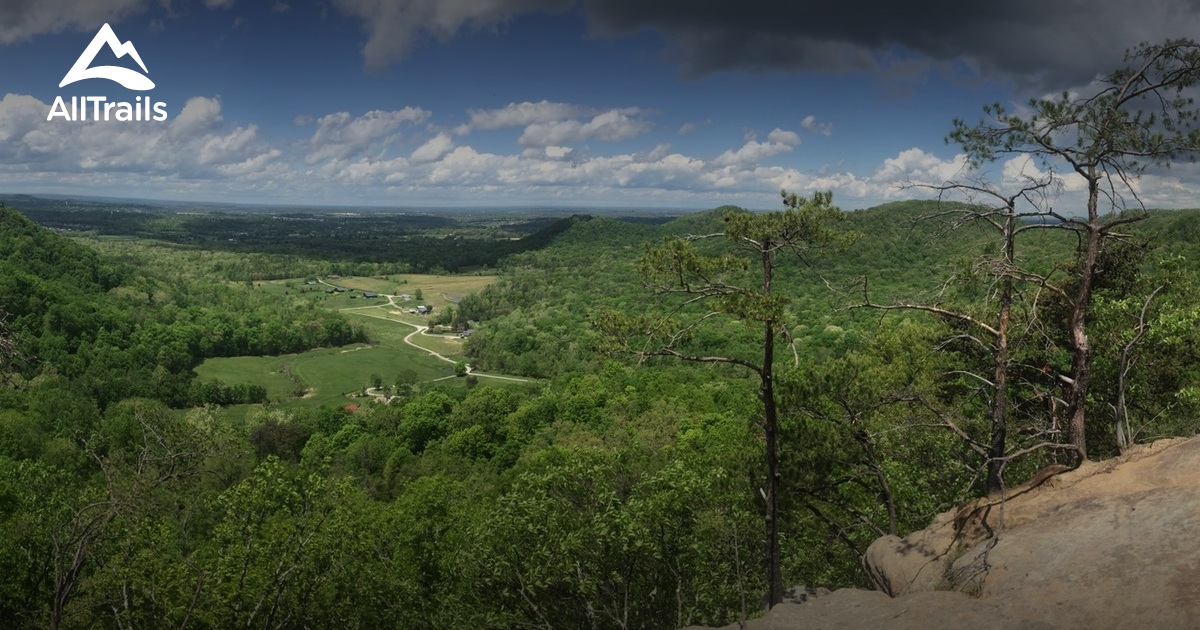 De beste makkelijke routes in Berea College Forest | AllTrails