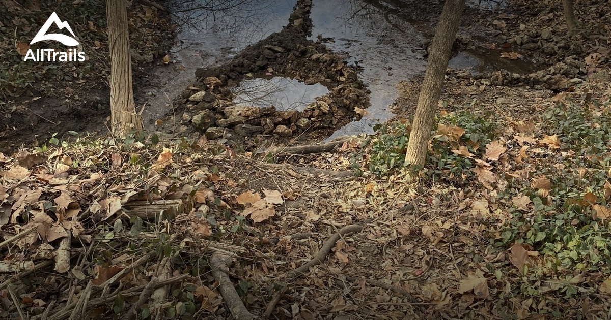 Best lake trails in Cave Spring Park | AllTrails