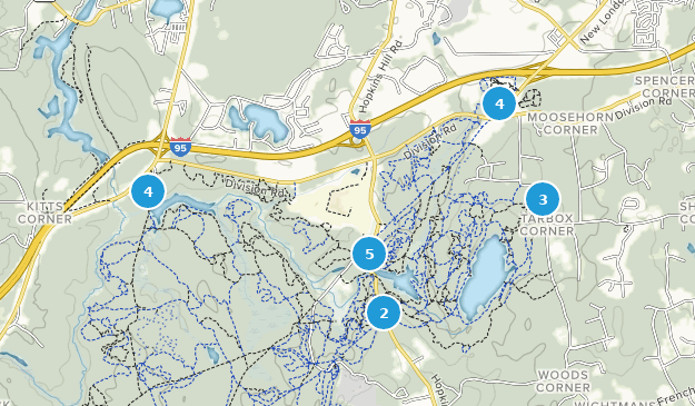 Best Trails in Big River State Management Area - Rhode Island | AllTrails