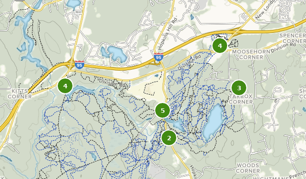 Best Trails in Big River State Management Area - Rhode Island | AllTrails