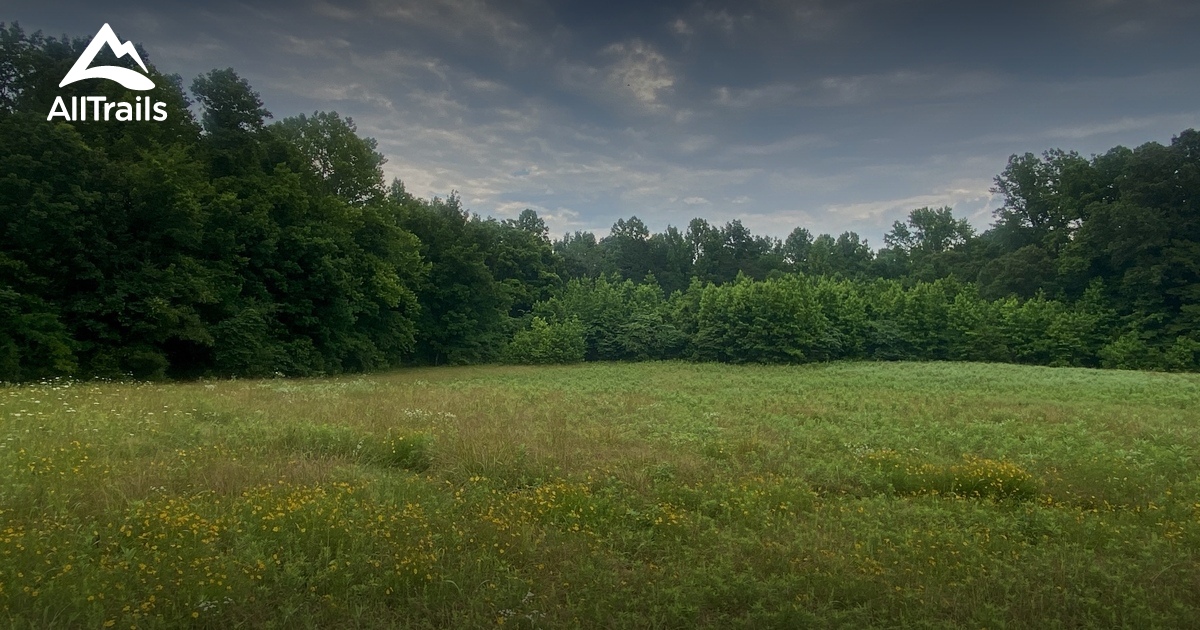 Best hikes and trails in Shallow Ford Natural Area | AllTrails