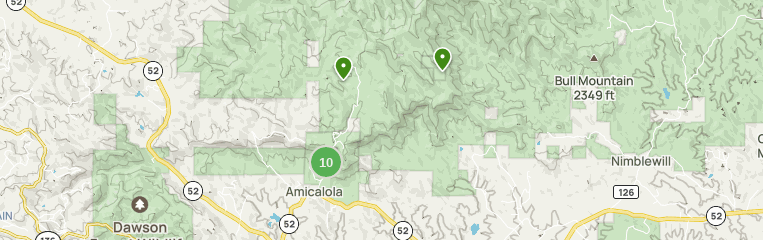 Best 10 Hikes and Trails in Amicalola Falls State Park | AllTrails