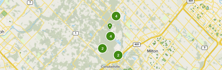 Best Trails in Hilton Falls Conservation Area - Ontario, Canada | AllTrails