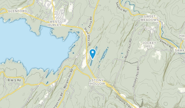 Best Trails in Bluestone Wild Forest - New York | AllTrails