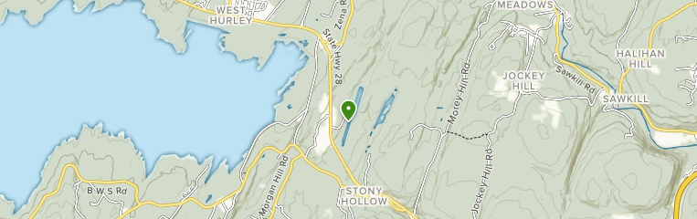 Best Trails in Bluestone Wild Forest - New York | AllTrails