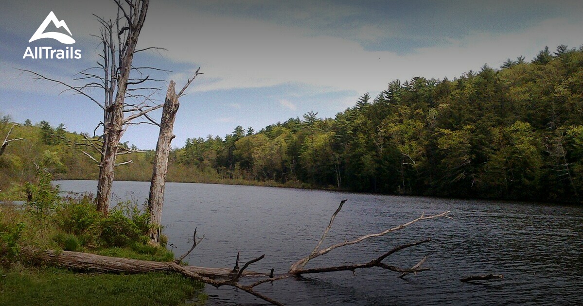 Best Trails in Bluestone Wild Forest - New York | AllTrails