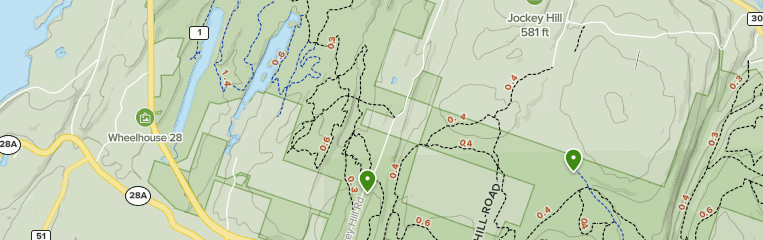 Best Trails in Bluestone Wild Forest: Map, Details | AllTrails