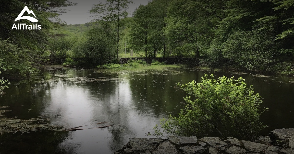 Best forest trails in Madame Sherri Forest | AllTrails