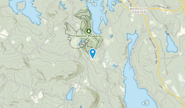 Best Trails in Hamlin Conservation Area - New Hampshire | AllTrails