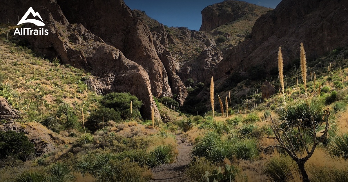 Best Trails in Organ Mountain - Desert Peaks National Monument - New ...
